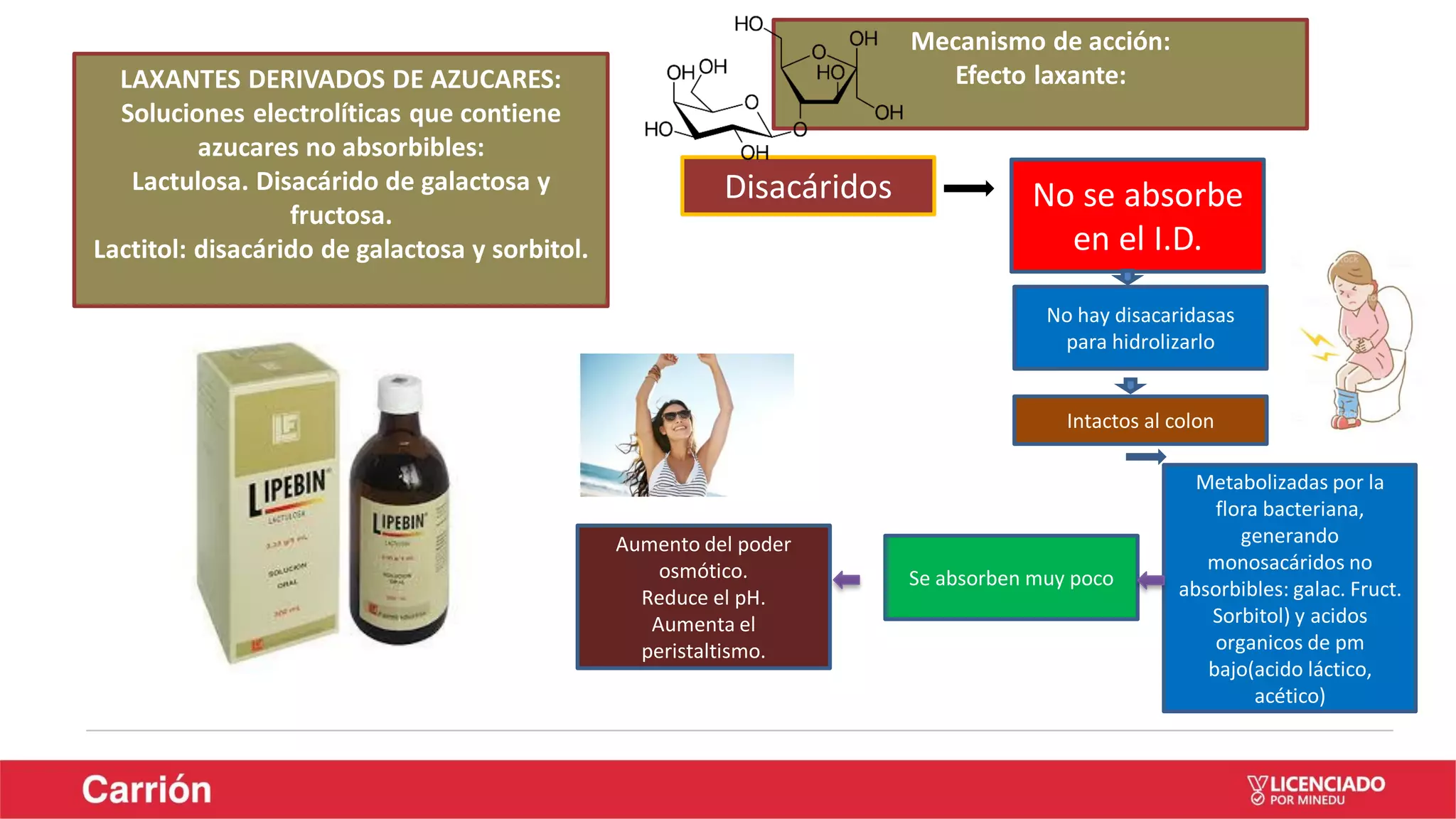 Tema 3.1 laxantes | PDF