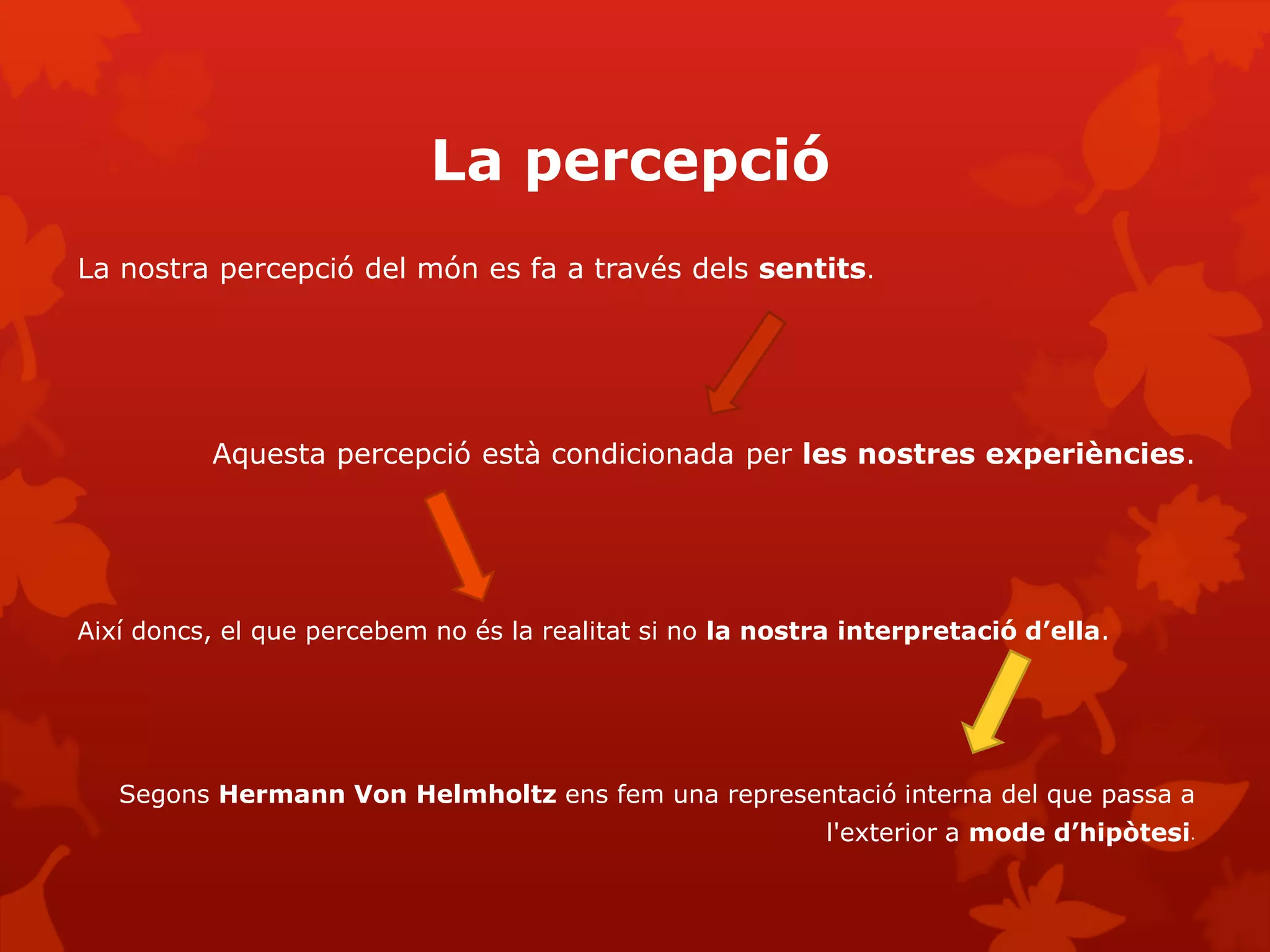 Tema 3. la percepció visual | PDF