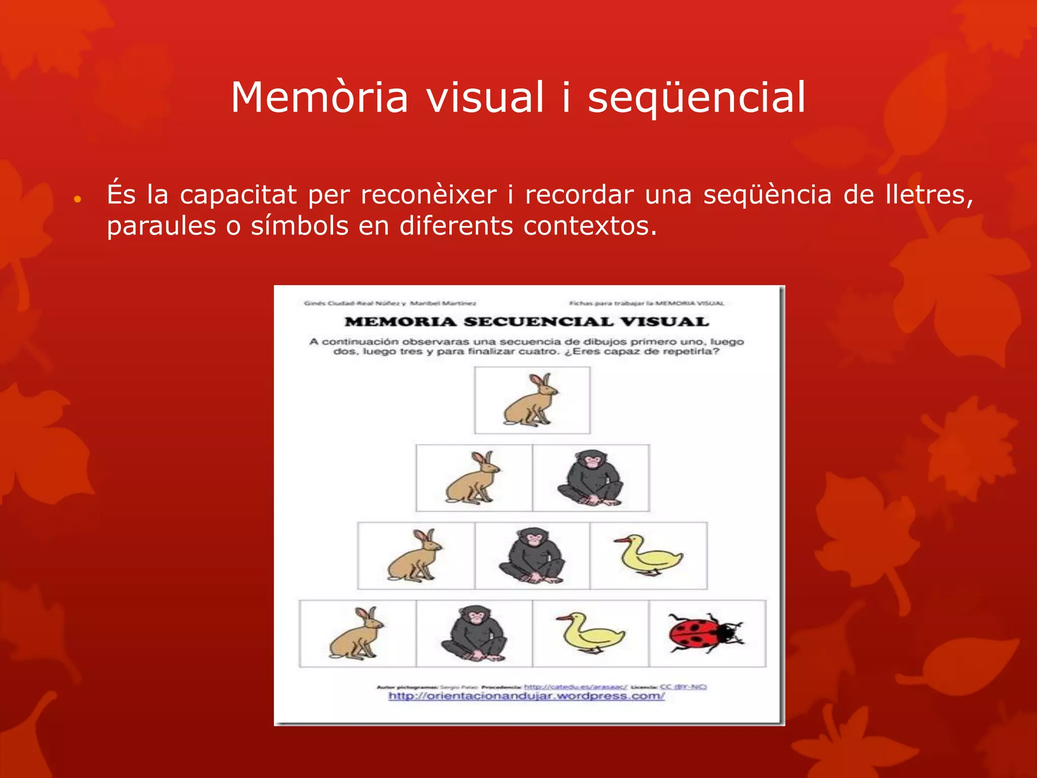 Tema 3. la percepció visual | PDF
