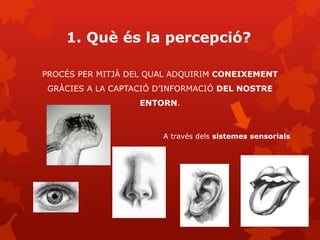 Tema 3. la percepció visual | PDF