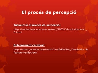 Tema 3. la percepció visual | PDF