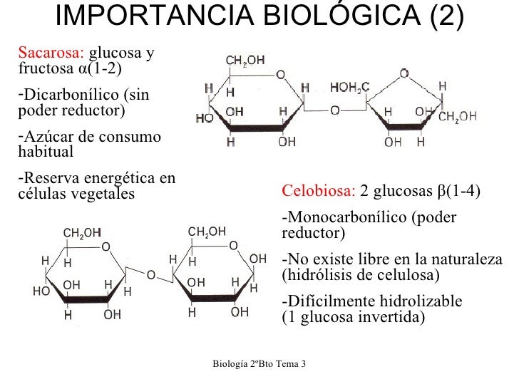 Tema 3 los glucidos