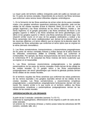 Tema 30 trabajo EMBRIOLOGIA DEL SISTEMA NERVIOSO UNEFEM | DOCX