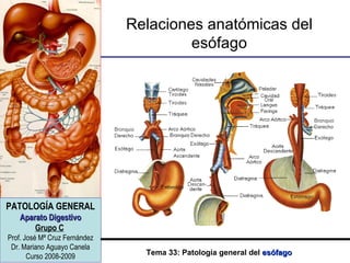 Tema 33 Pg Del Esofago | PPT