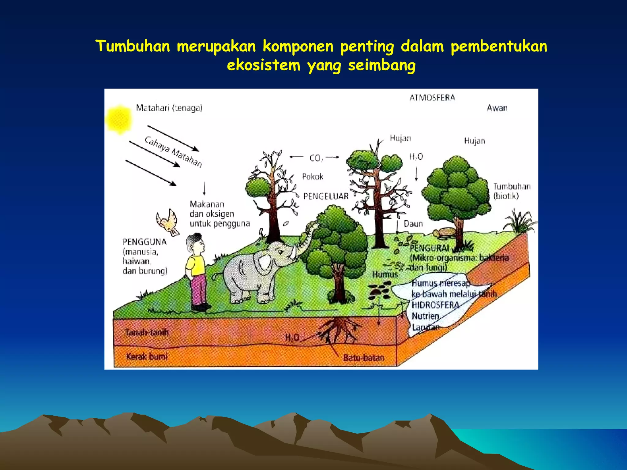 Kepentingan hutan | PPT