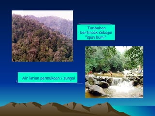 Kepentingan hutan | PPT