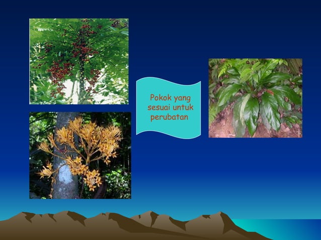 Kepentingan hutan | PPT