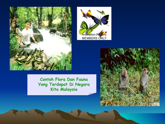 Kepentingan hutan | PPT