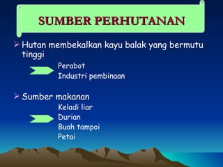 Kepentingan hutan | PPT