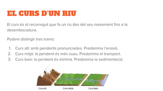 Tema 3 les aigües | PDF