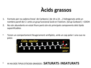 Tema 3 lípids | PPT