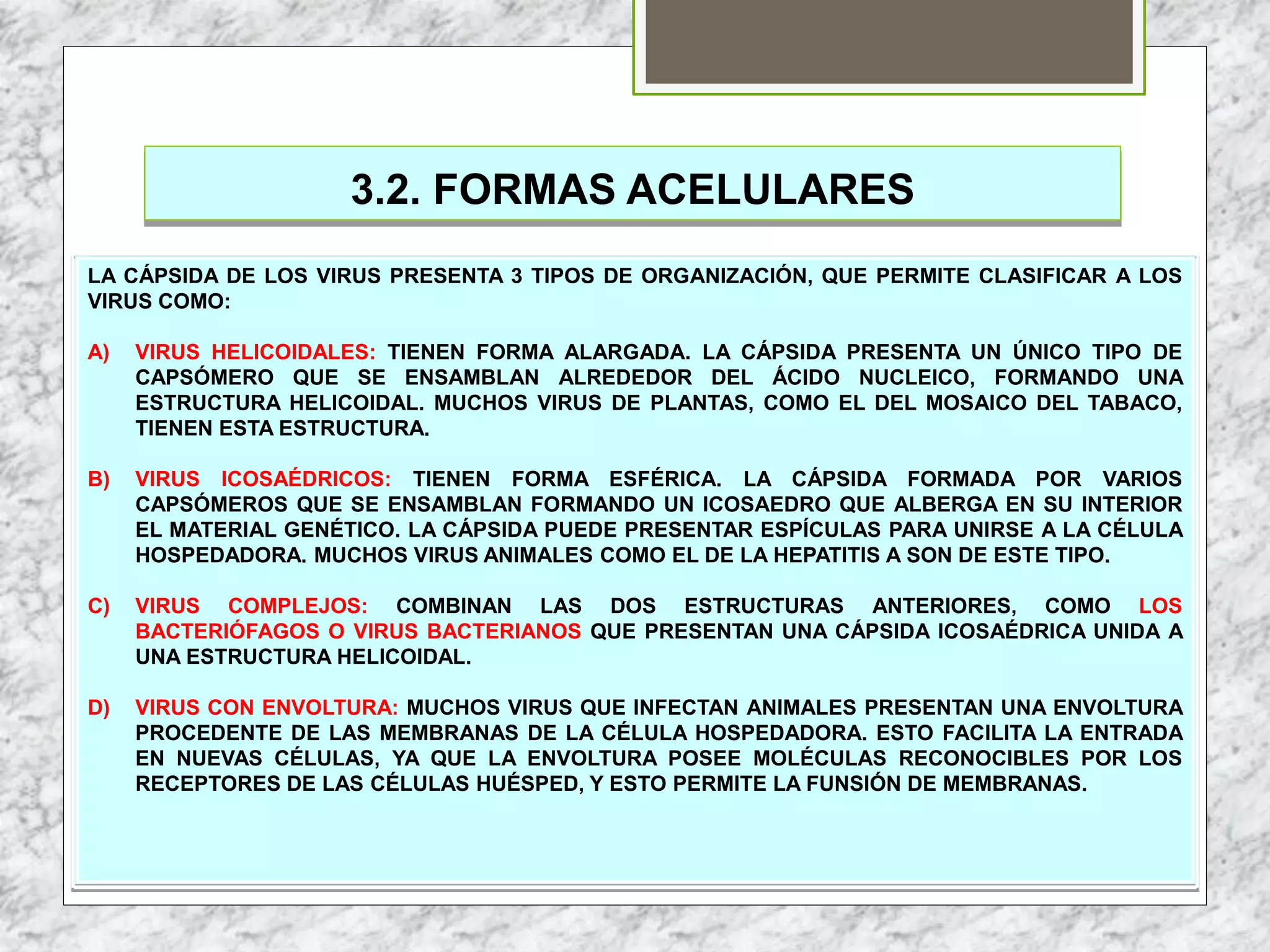 TEMA 3 MICROORGANISMOS Y FORMAS ACELULARES.pptx