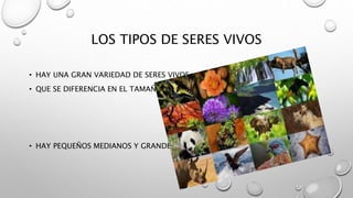 LOS SERES VIVOS Y LOS OBJETOS INERTES. | PPTX