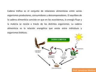 Tema 3 cadenas tróficas | PPT