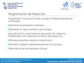 Tema 3 programación de proyectos | PDF