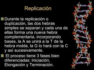 Tema 3 Replicación del ADN | PPT