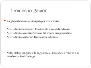 Tema 3 Tiroides | PPT