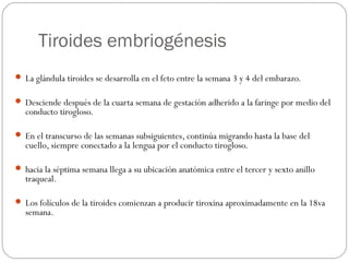 Tema 3 Tiroides | PPT