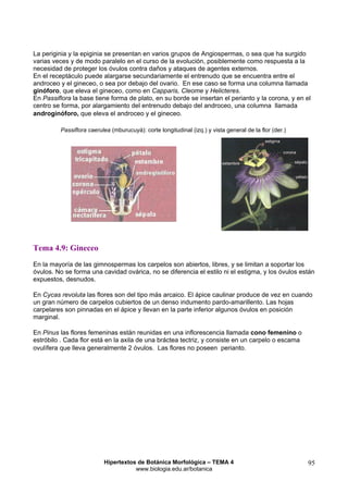 Tema4-Flor- Hipertextos de Botánica Morfológica www.biologia.edu.ar