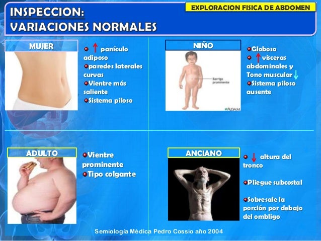Tema 4. exploracion de abdomen Tema 4. exploracion de abdomen