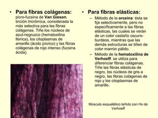 Tema 4. Procesamiento citológico y tisular | PPT