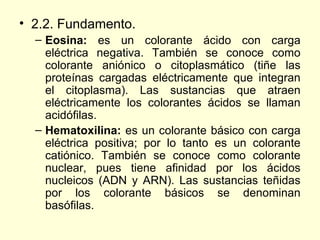 Tema 4. Procesamiento citológico y tisular | PPT