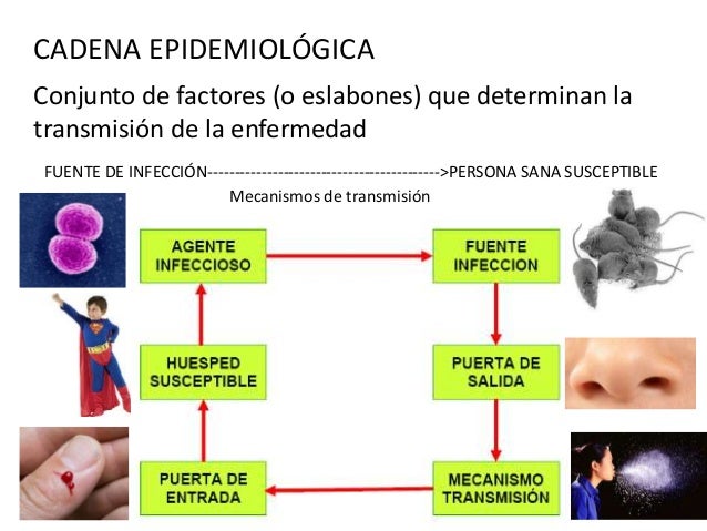 U.D.6 Enfermedades infecciosas
