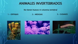 Unidad 4 Los animales invertebrados | PPTX