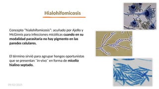 TEMa 4. Hongos contaminantes-hialohifomicosis-1.pptx