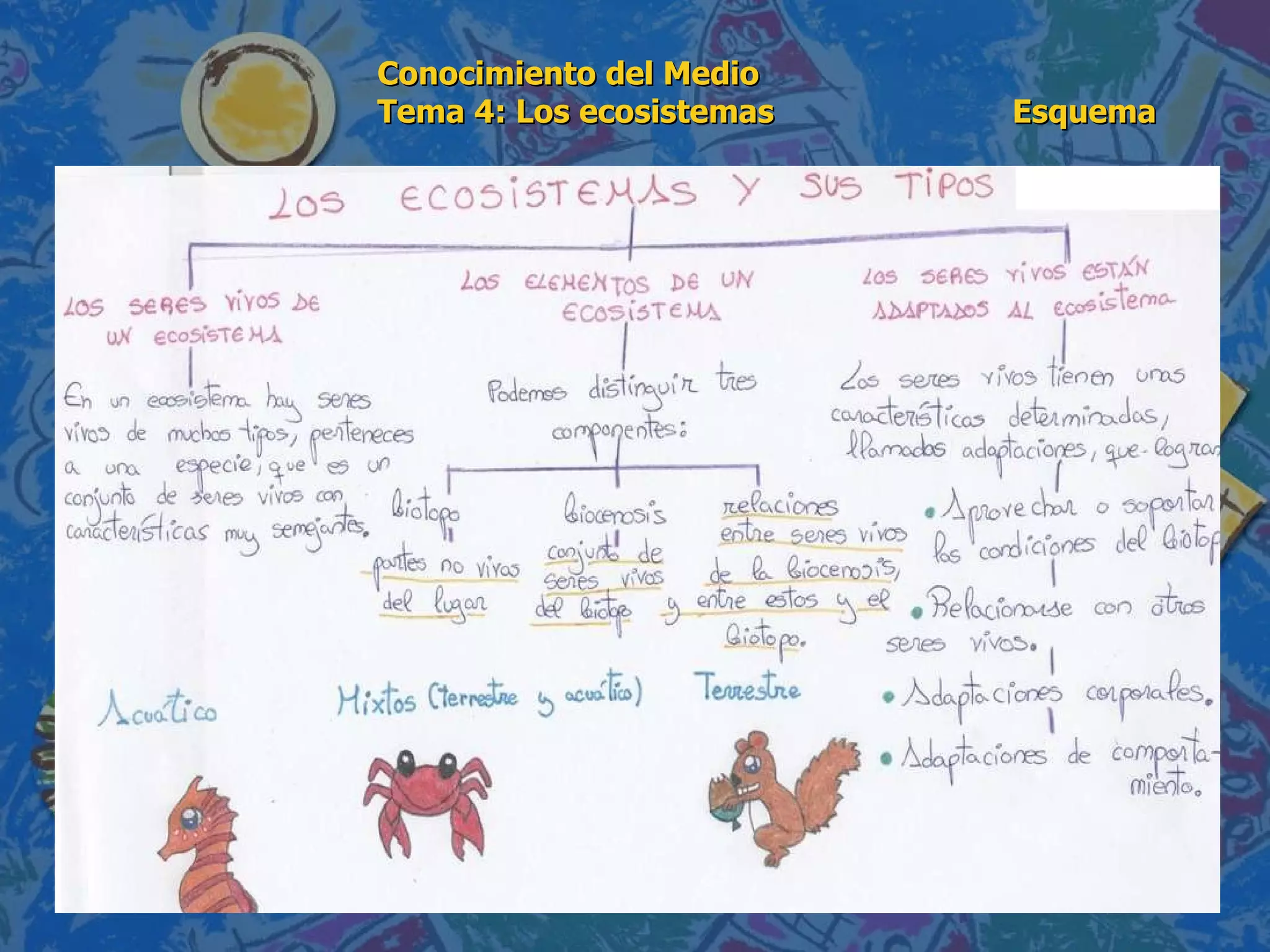 Conocimiento del medio 6º de Primaria Tema 4: Los ecosistemas (esquemas ...