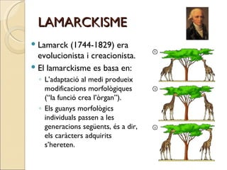 Tema 4. Què és l’ésser Humà? | PPS