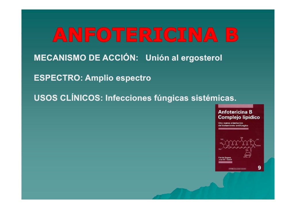 Anfotericina B Mecanismo De Ação - RETOEDU