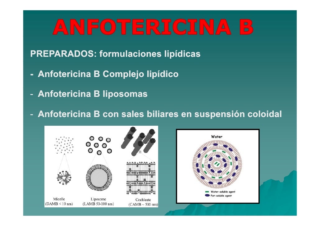 Anfotericina BV3 Holaaa INSTRUCCIONES PARA LA RECONSTITUCIÓN, DILUCIÓN ...