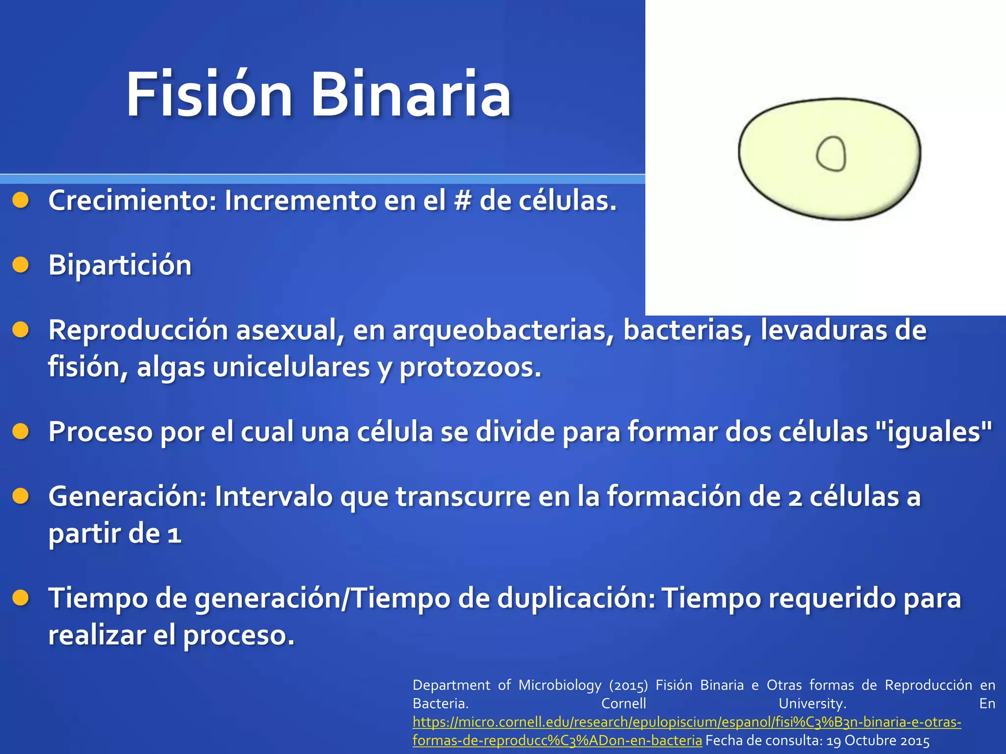 Tema 47 Formas de división celular: fisión binaria (efectos genéticos ...