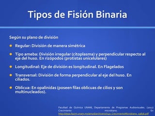 Tema 47 Formas de división celular: fisión binaria (efectos genéticos ...