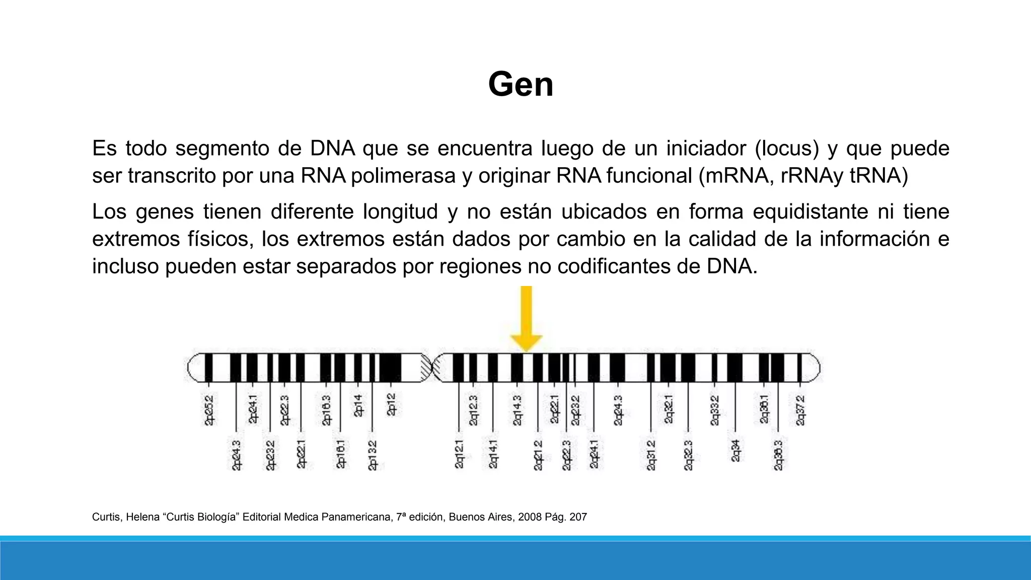 Tema 48 Concepto de: gen, genoma, transcriptoma y proteoma | PPTX ...