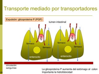 Tema 4 La Absorcion De Los Fármacos En El Organismo Humano.pdf