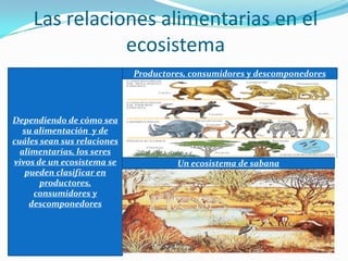 Tema 4. Los ecosistemas | PPTX