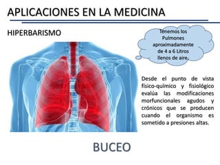 BIOQUÍMICA DE LA RESPIRACIÓN | PDF