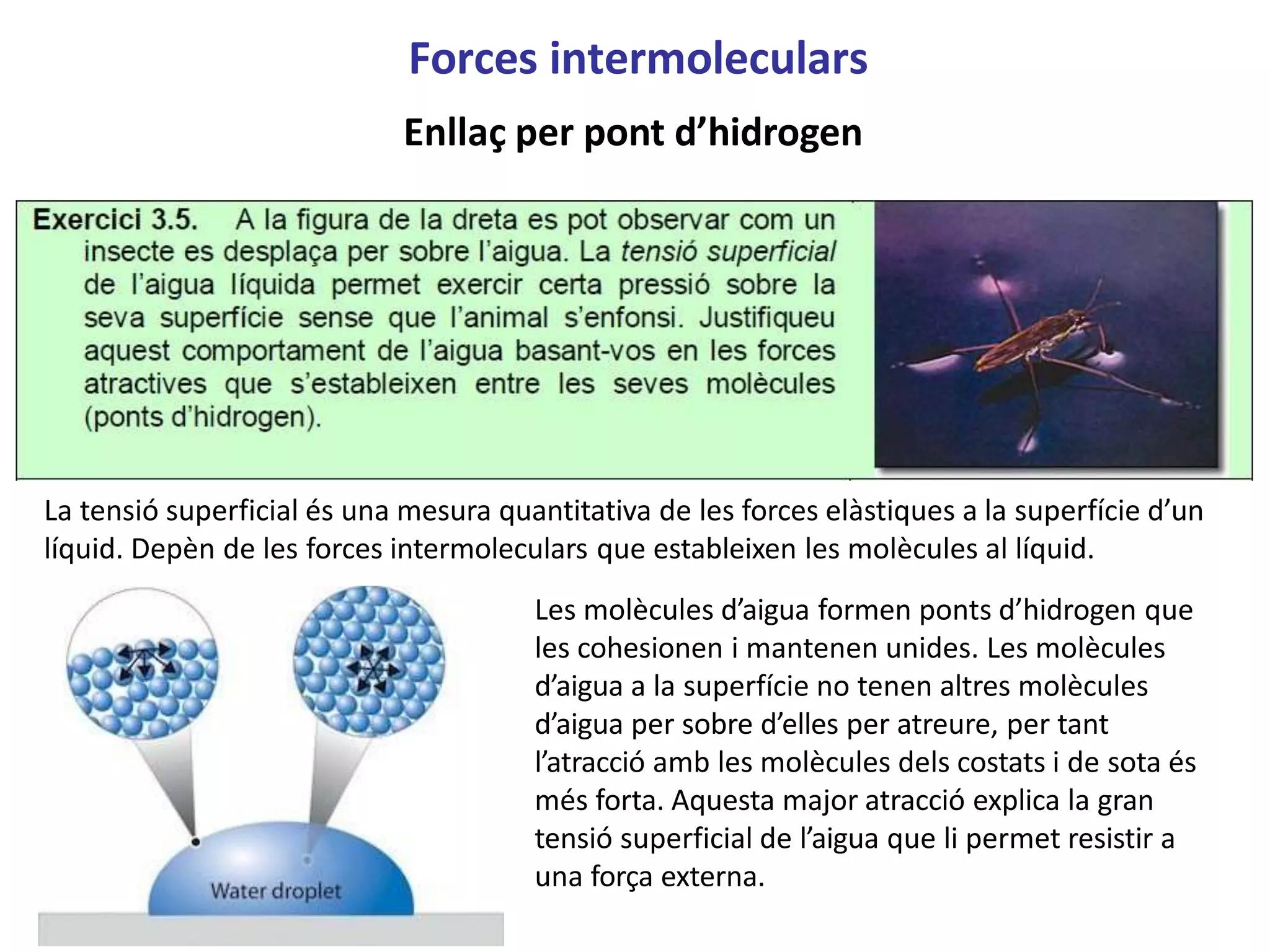 Tema4_Bloc3_ForcesInt_exercicis_solucionats.pptx