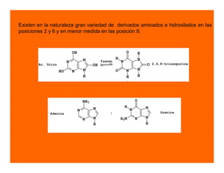 Tema 4 compuestos heterocíclicos de interés biológico | PDF