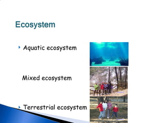 Tema 4 de_laura | PPT | Biological Sciences | Science