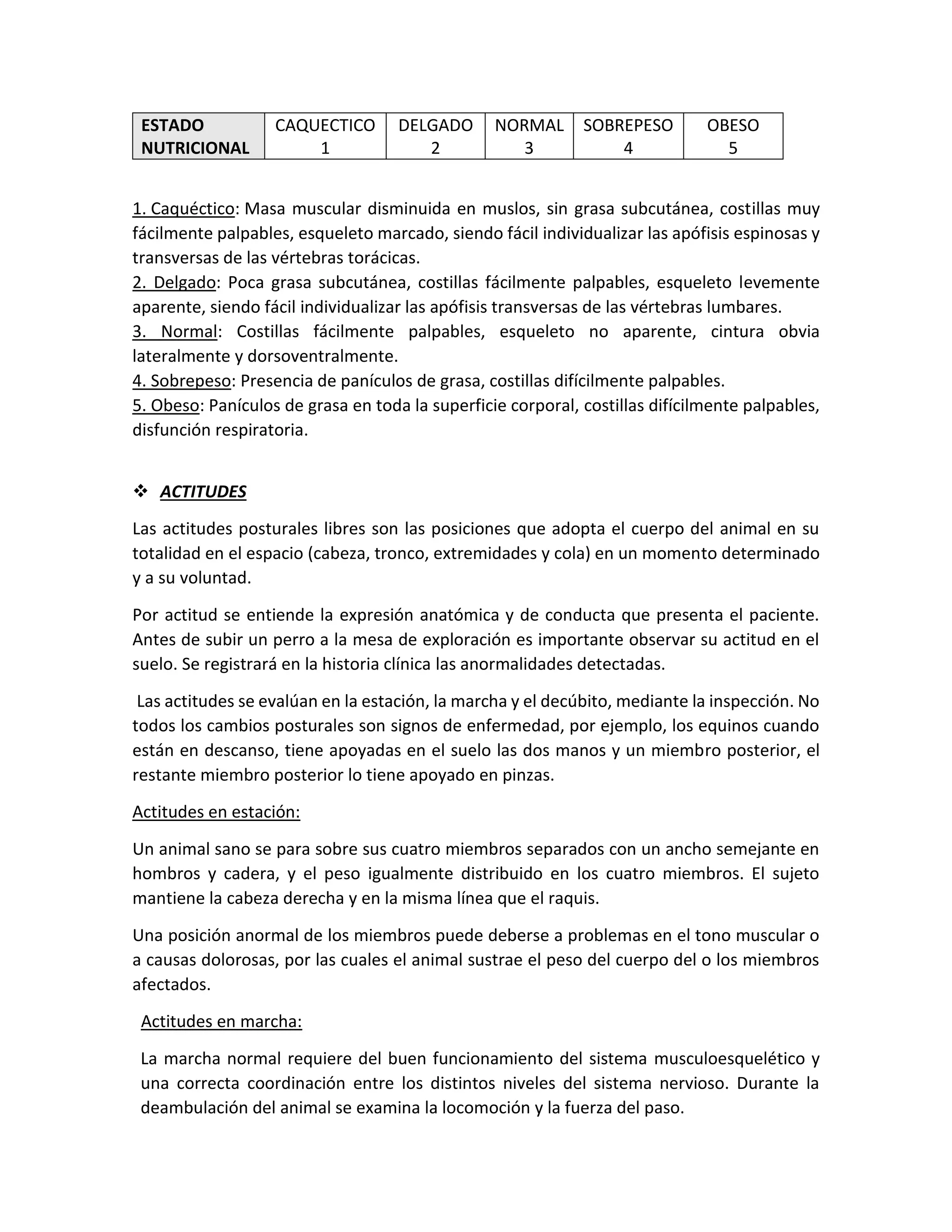 EXAMEN CLINICO GENERAL.docx
