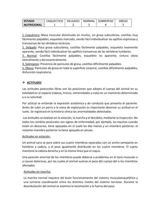 EXAMEN CLINICO GENERAL.docx