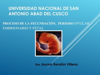 TEMA 4 FECUNDACION PERIODO OVULAR, EMBRIONARIO Y FETAL (1).ppt