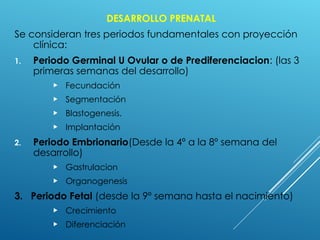 TEMA 4 FECUNDACION PERIODO OVULAR, EMBRIONARIO Y FETAL (1).ppt