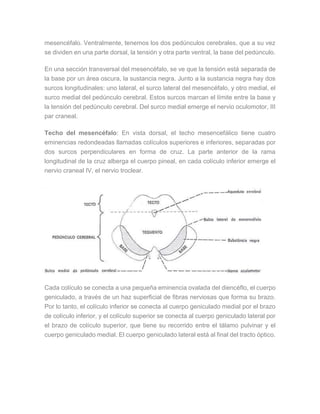Tema 4 guía configuración externa de tallo | PDF