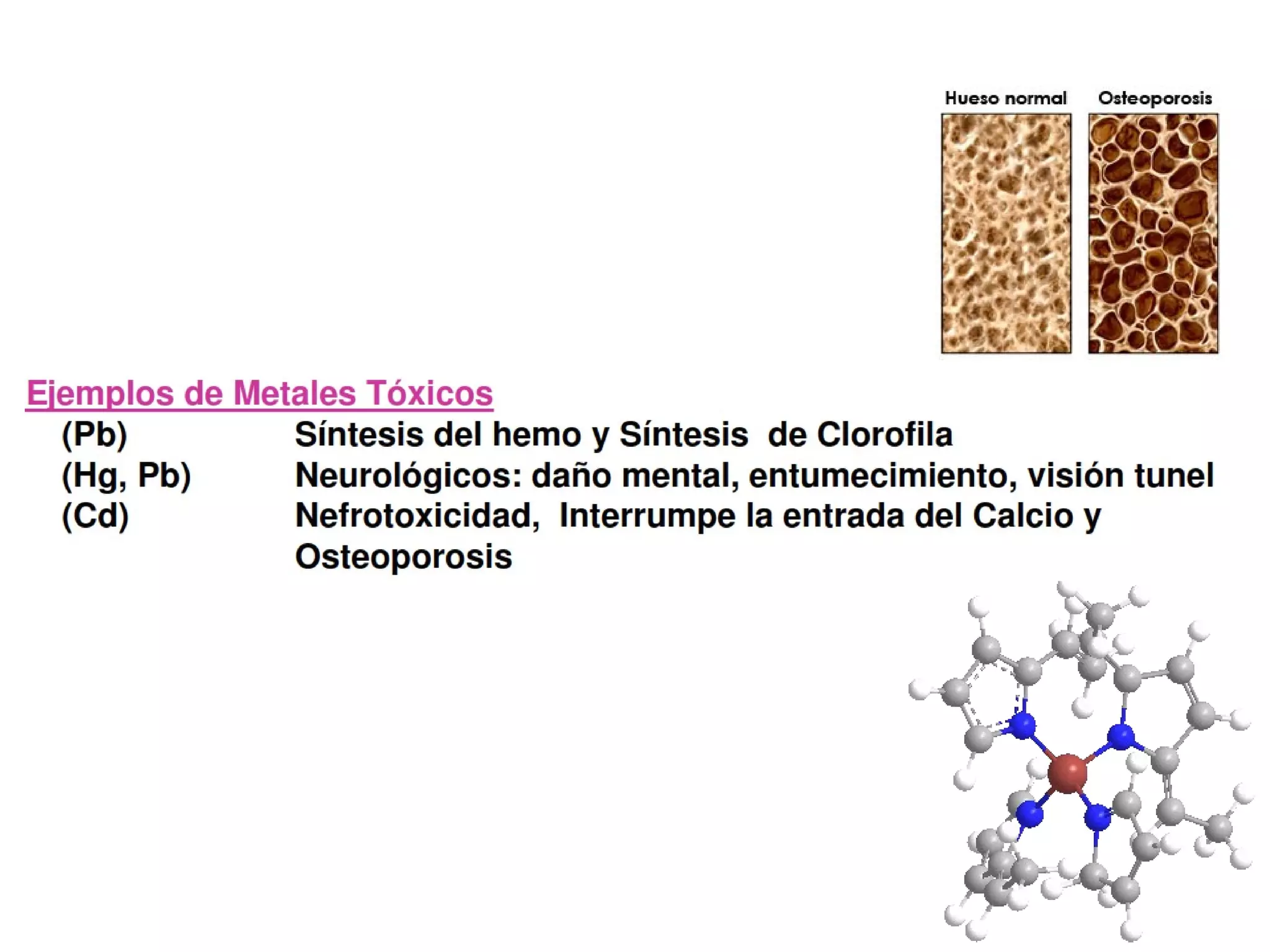 LOS METALES PESADOS Y SU TOXICIDAD | PPT