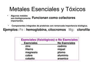 LOS METALES PESADOS Y SU TOXICIDAD | PPT
