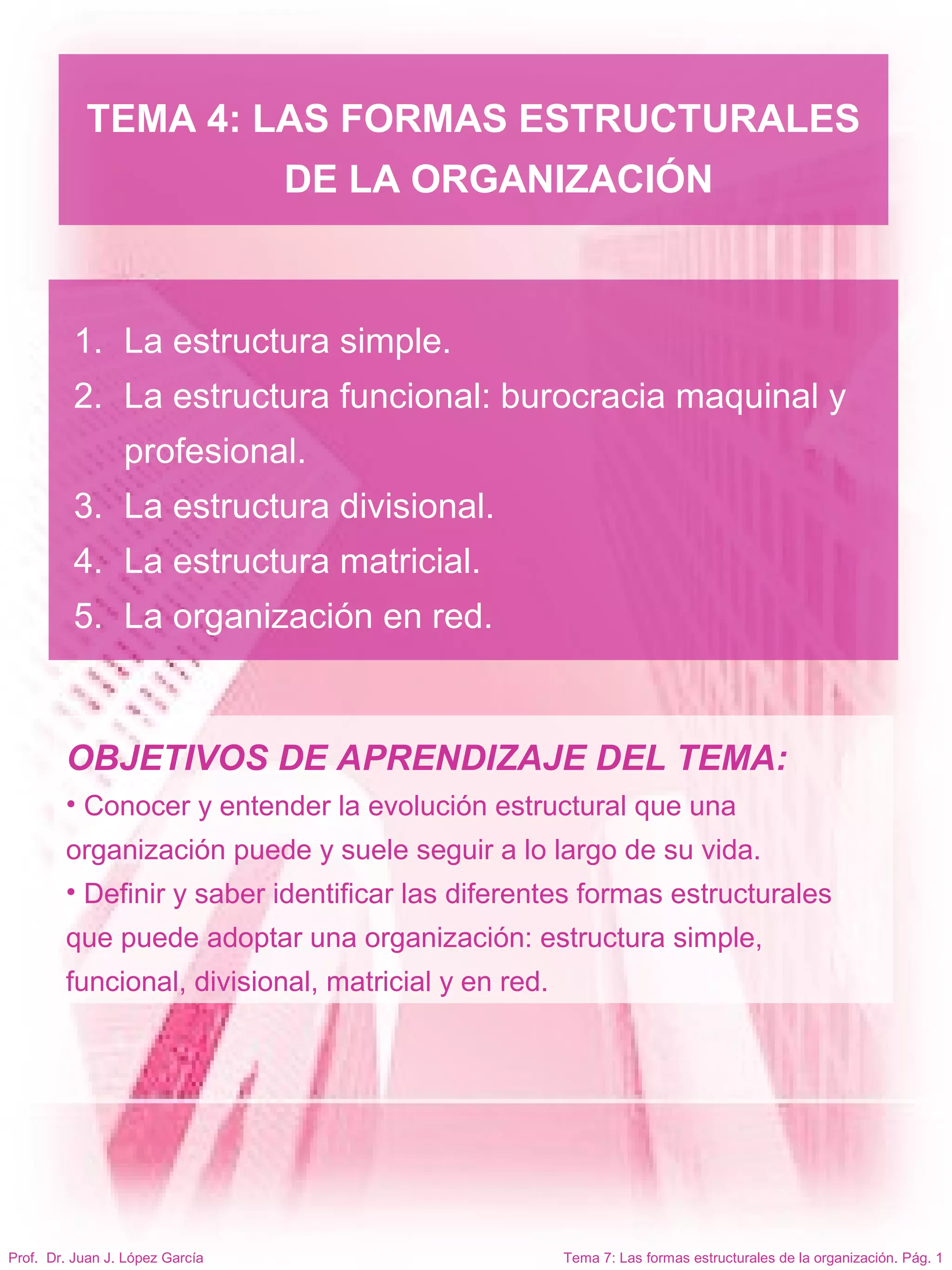 FORMAS ESTRUCTURALES DE LA ORGANIZACION | PPT